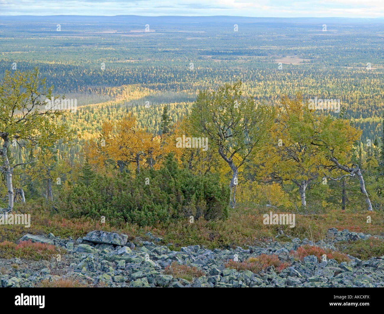 wide open landscape in autumn colours with stony fell mountain Lapland ...