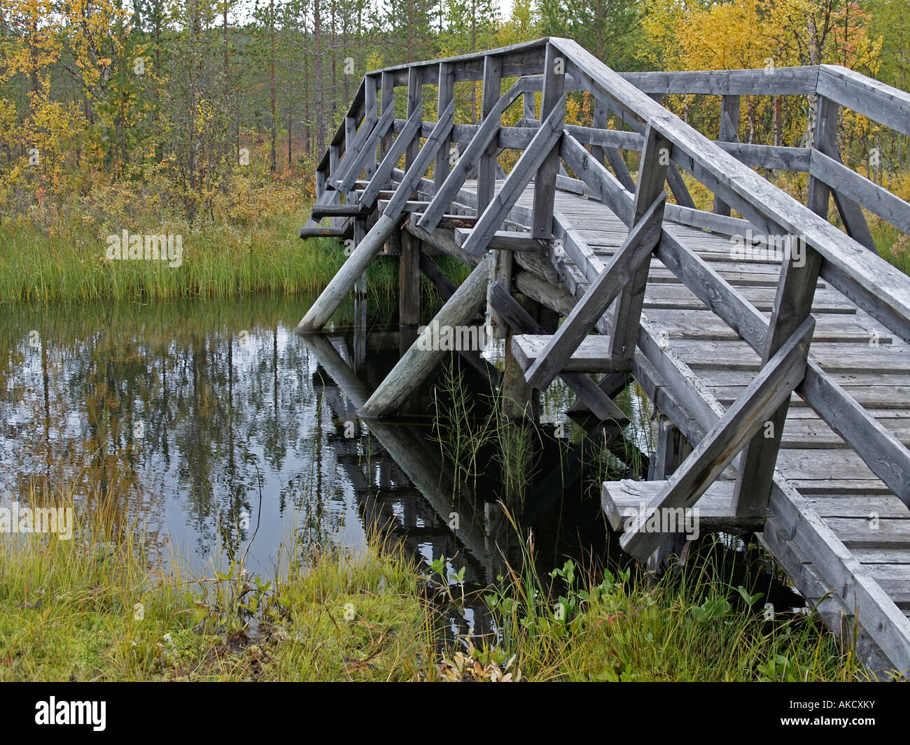wooden bridge over a river in moor in forest landscape in Lapland ...
