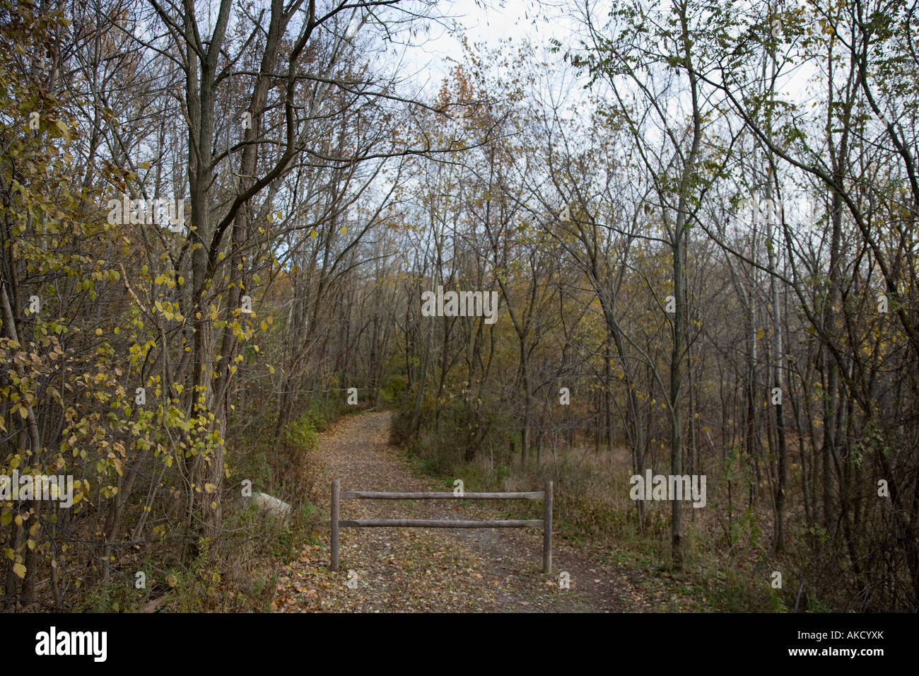 Country road with a barrier blocking entrance Stock Photo - Alamy