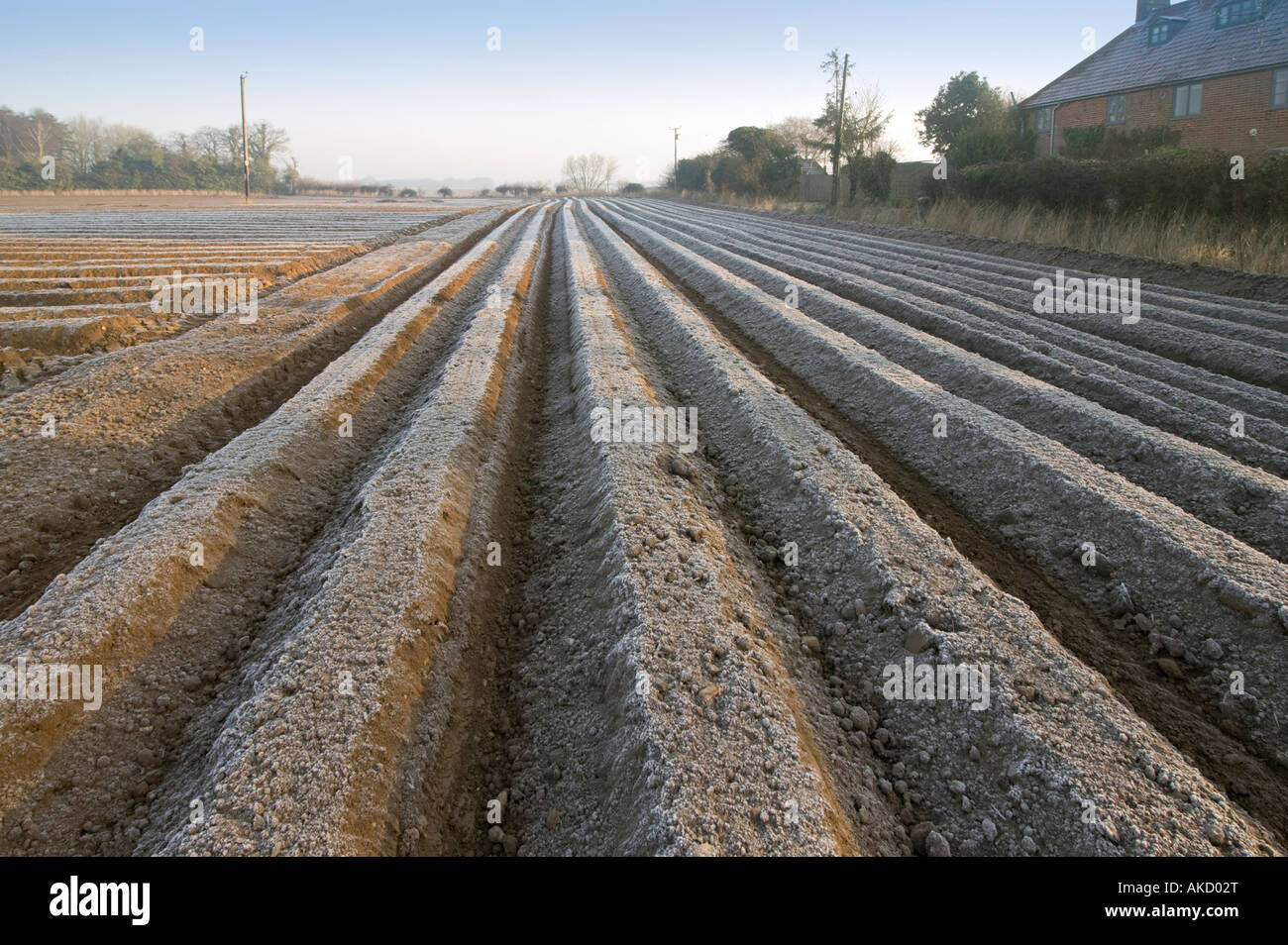 Ploughed field deep furrows hi-res stock photography and images - Alamy