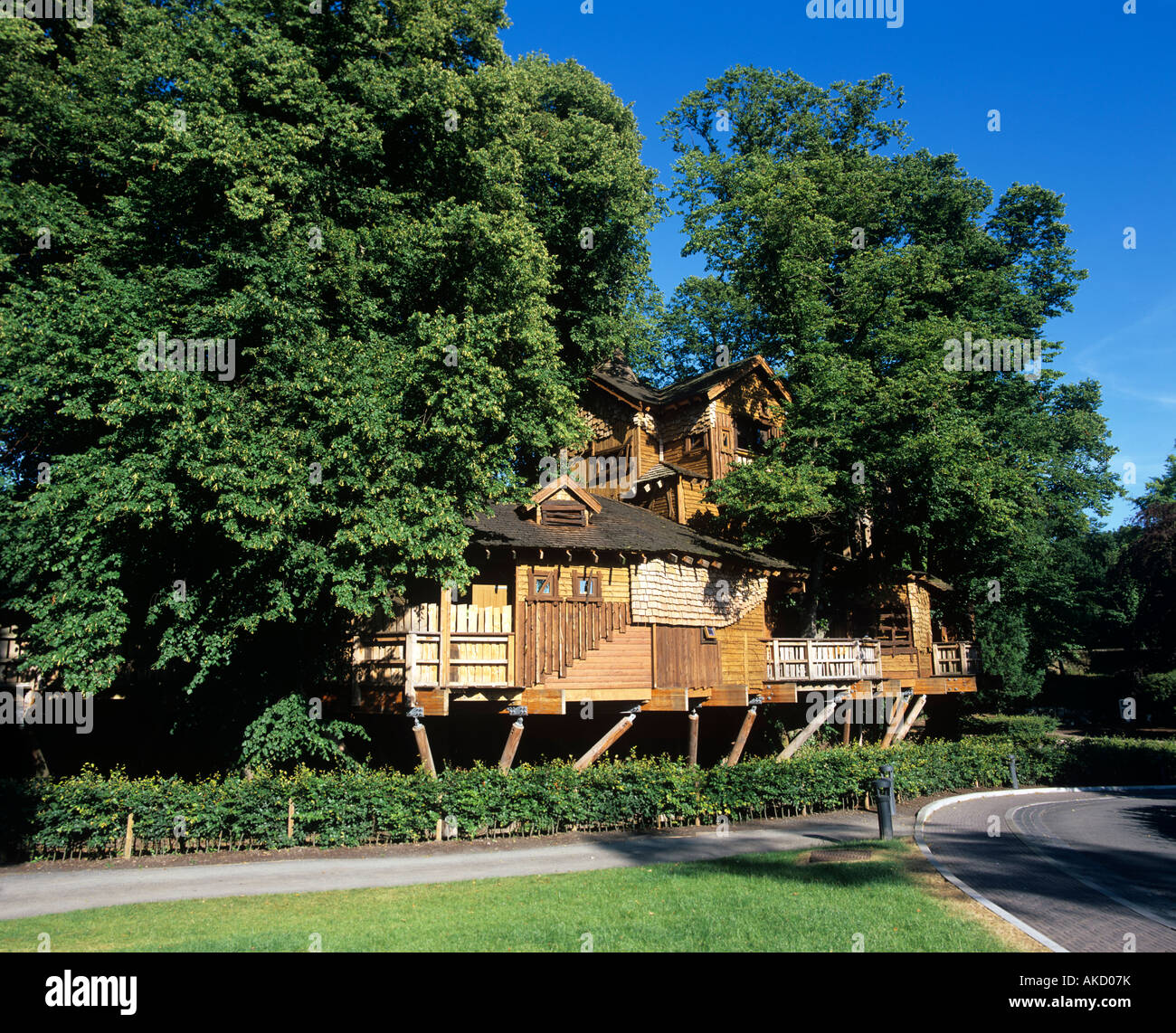 Worlds largest tree house hi-res stock photography and images - Alamy