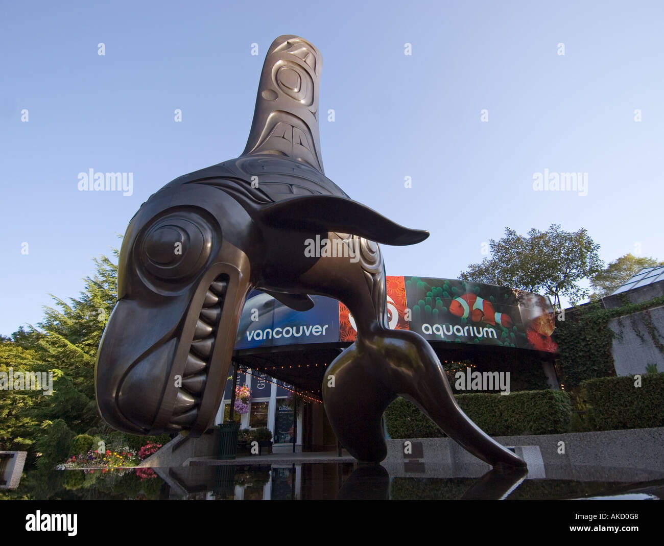 Haida Killer Whale Art