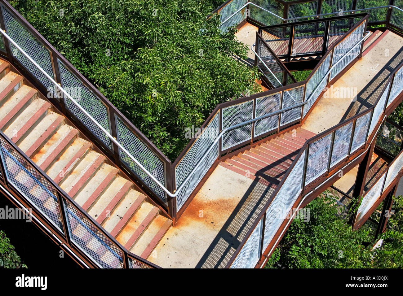 STAIRS,, STAIRCASE,, RAILING,, STAIRWAY,, VIEW, FROM, BELOW,, INDOORS ...