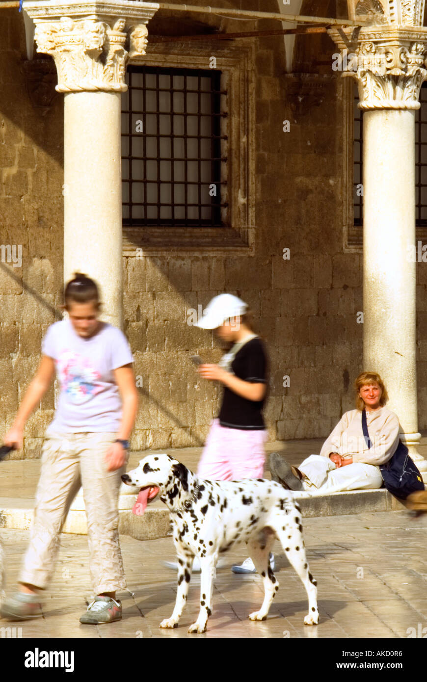 Boy walking dalmatian hi-res stock photography and images - Alamy