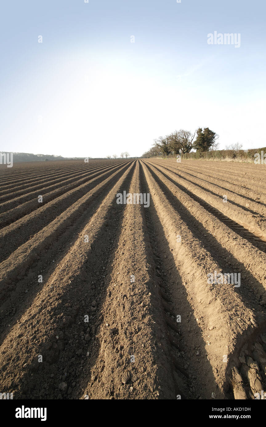 Ploughed field deep furrows hi-res stock photography and images - Alamy