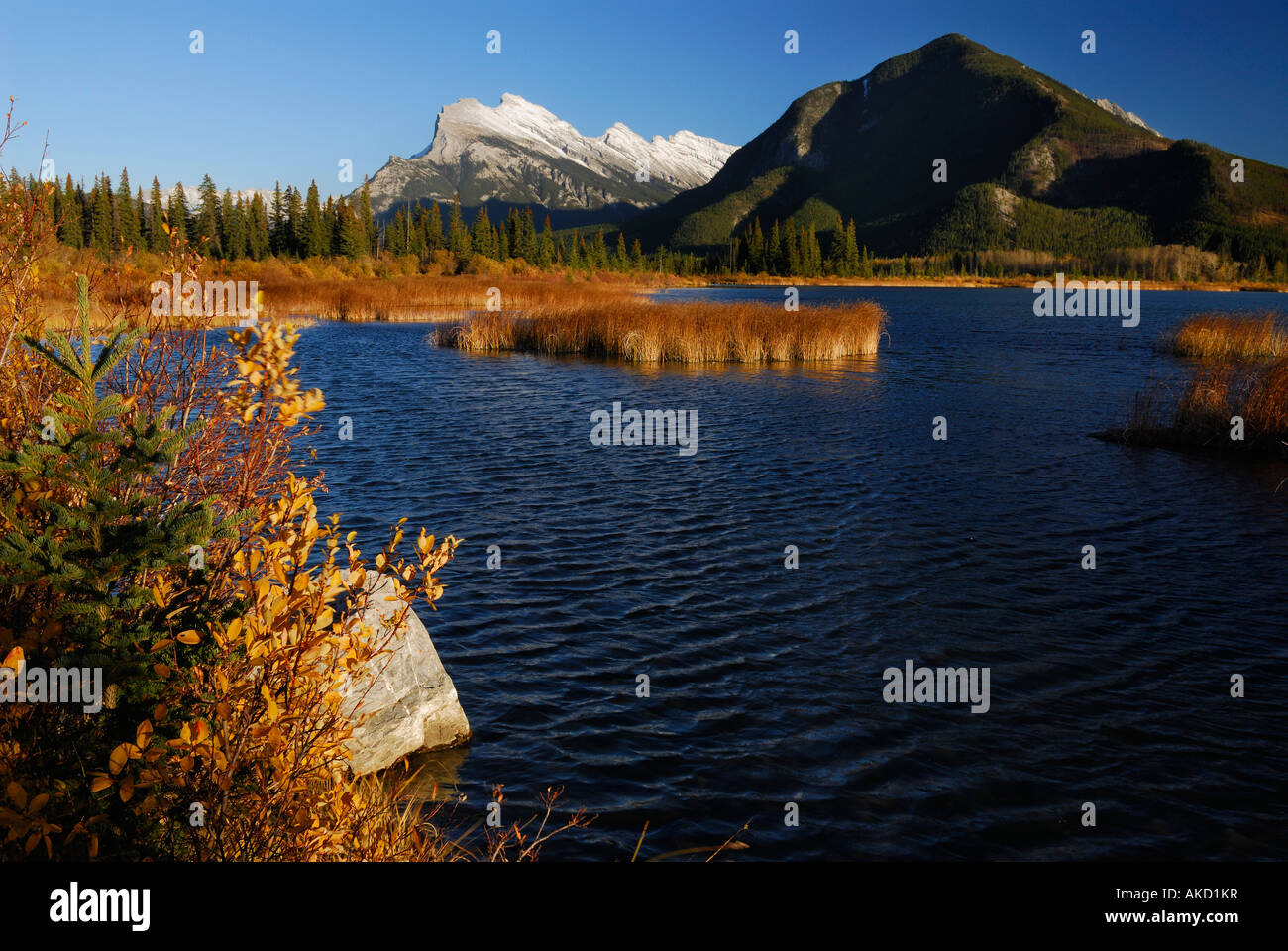 Sunset on third Vermillion Lake with gold Fall colors, Mount Rundle and ...