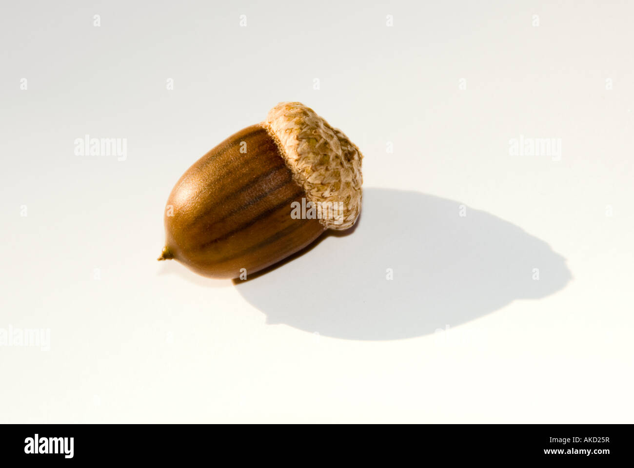 Shadow clean Cut Out Stock Images & Pictures - Alamy