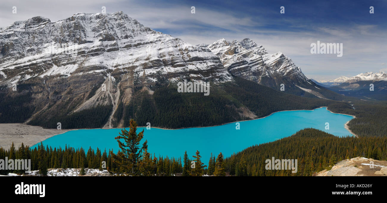 Panorama of Caldron Peak and Mount Patterson at Peyto Lake Icefields ...