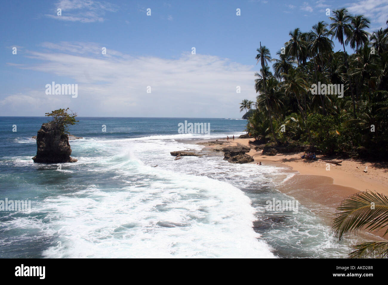 The Caribbean coast at Manzanillo Costa Rica near the Panamanian border ...
