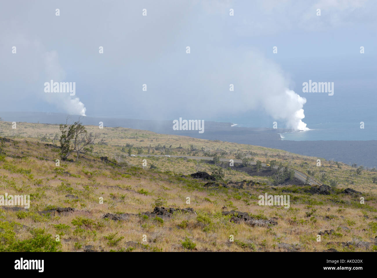 Steam columns created by lava flowing into Pacific Ocean on Island of ...