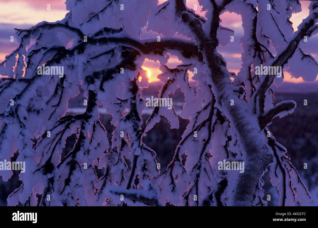 Snow covered sun hi-res stock photography and images - Alamy