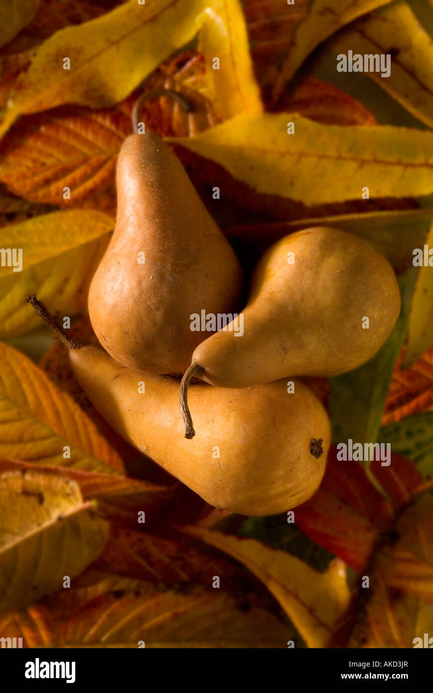 Autumn pears v Stock Photo - Alamy