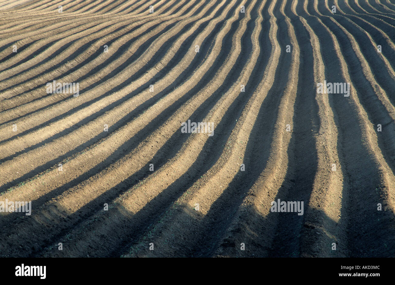 Land furrows hi-res stock photography and images - Alamy