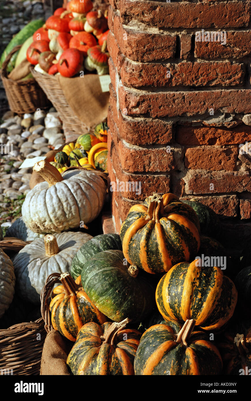 A display of pumpkins at an Autumn country fair Stock Photo - Alamy