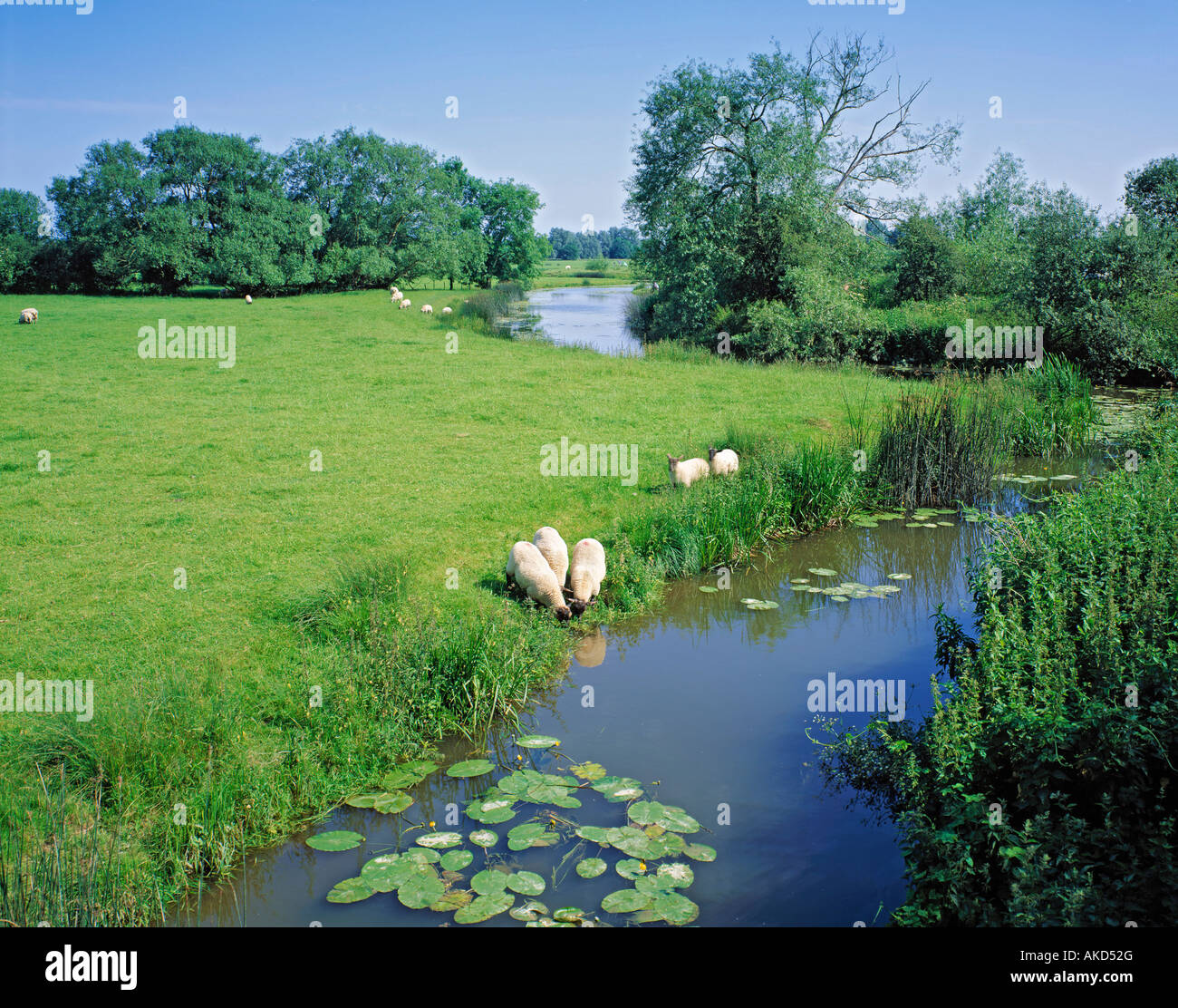 The weald kent hi-res stock photography and images - Alamy