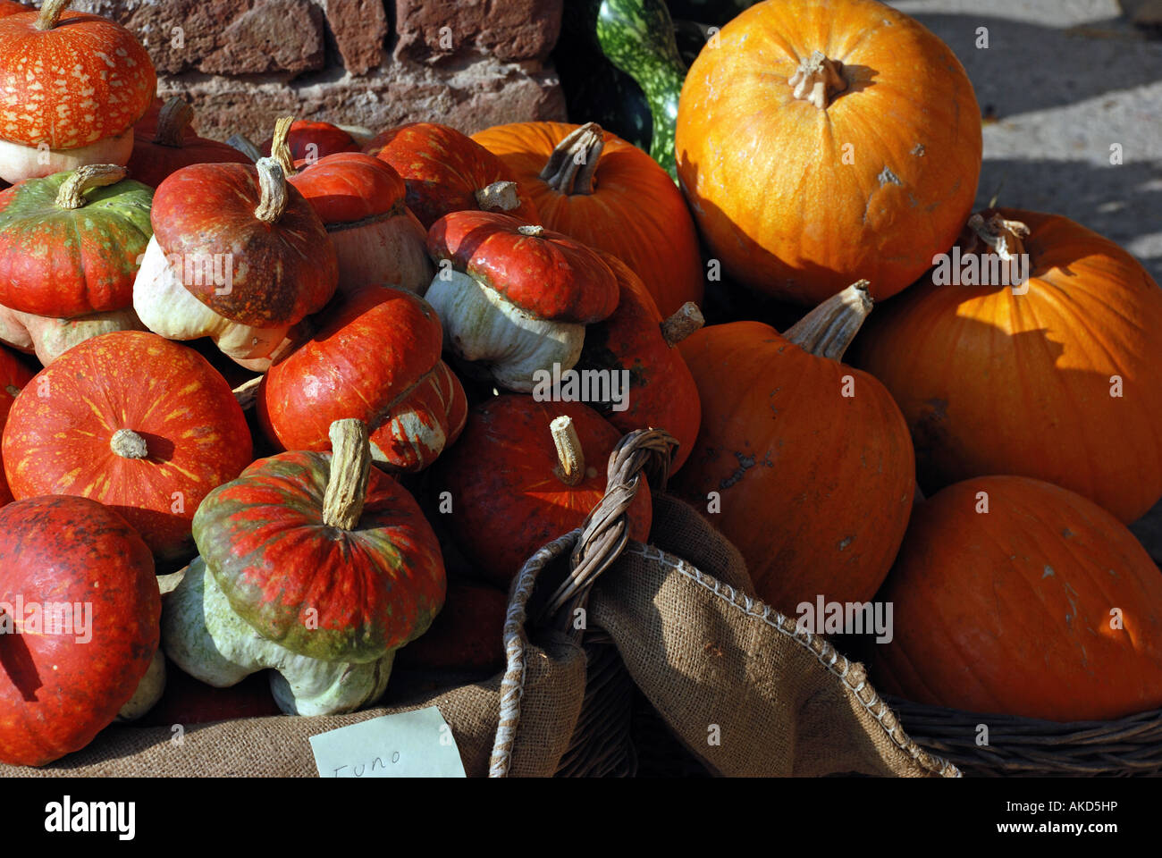 A display of ornamental pumpkins at an Autumn country fair Stock Photo ...