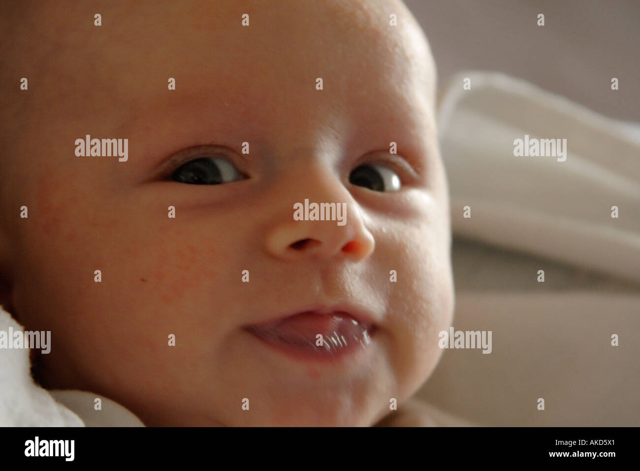 Boy with fine features hi-res stock photography and images - Alamy