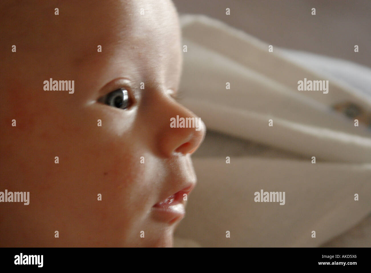 Boy with fine features hi-res stock photography and images - Alamy