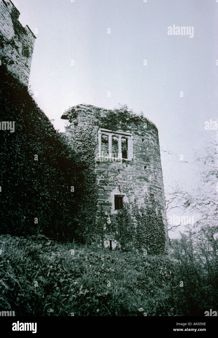 Haunted Tower on the defensive walls of Berry Pomeroy Castle East of ...