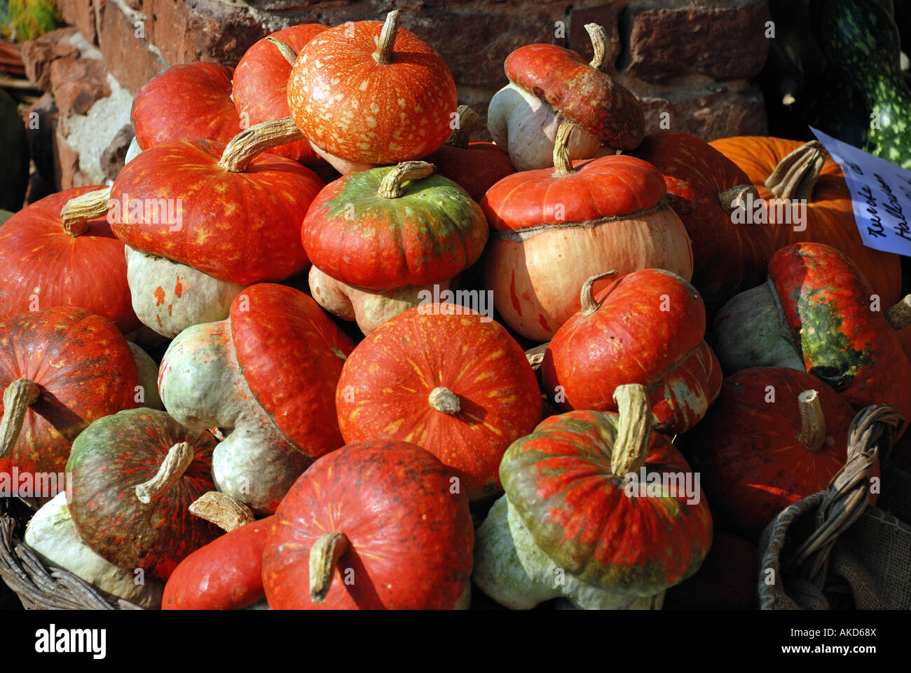 A display of ornamental pumpkins at an Autumn country fair Stock Photo ...