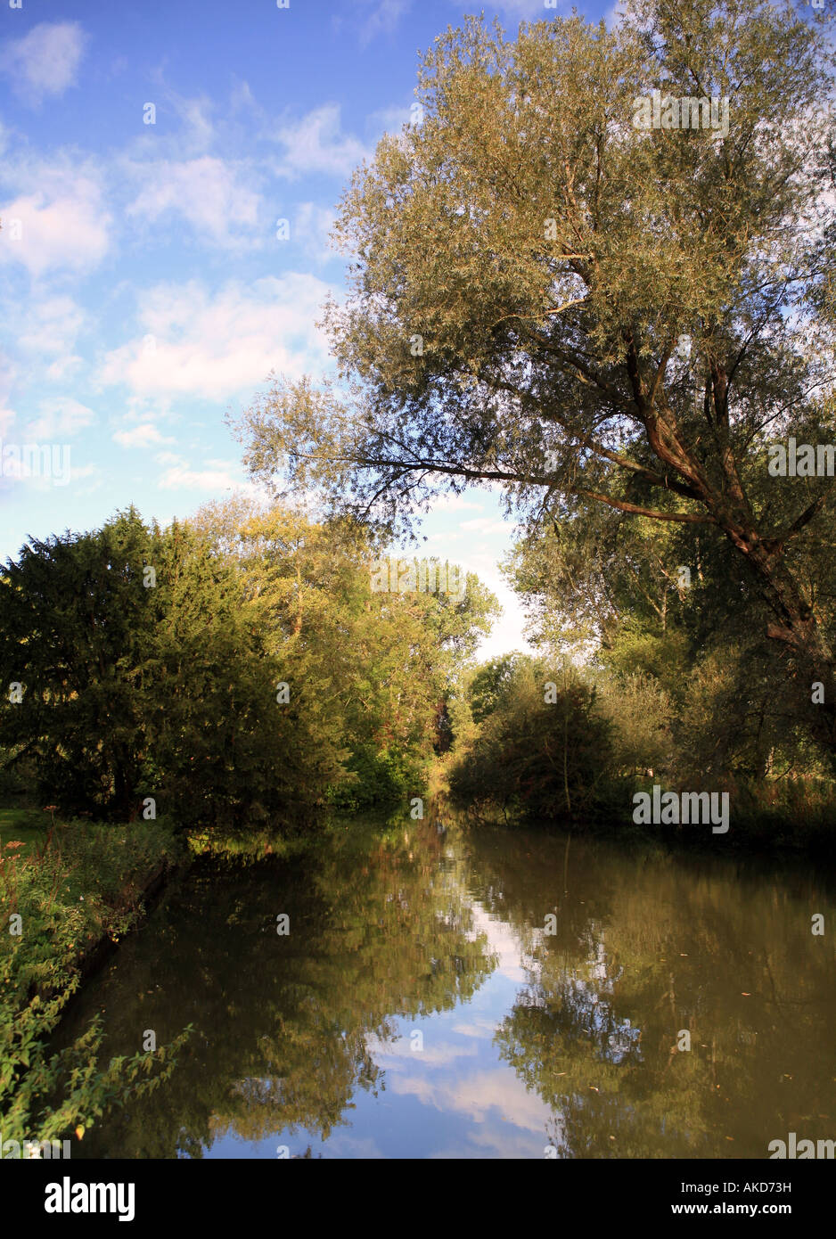 A view of the River Cherwell next to the University Parks in Oxford ...
