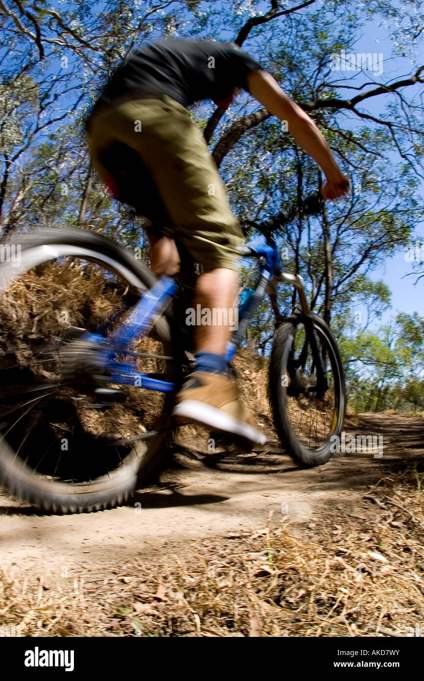 Riding a mountain bike through the bush fast Stock Photo - Alamy