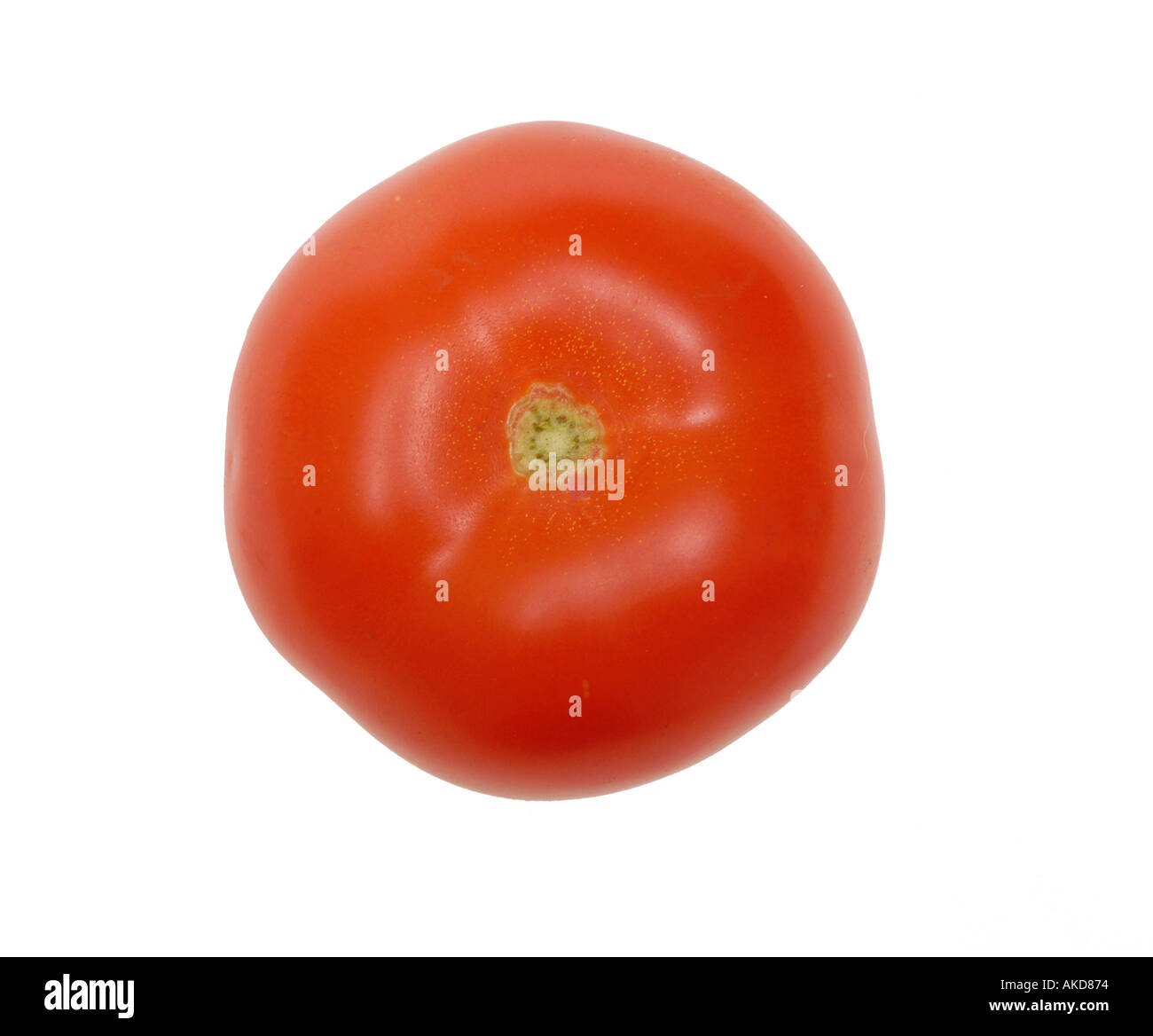 Plant tomatoe hi-res stock photography and images - Alamy