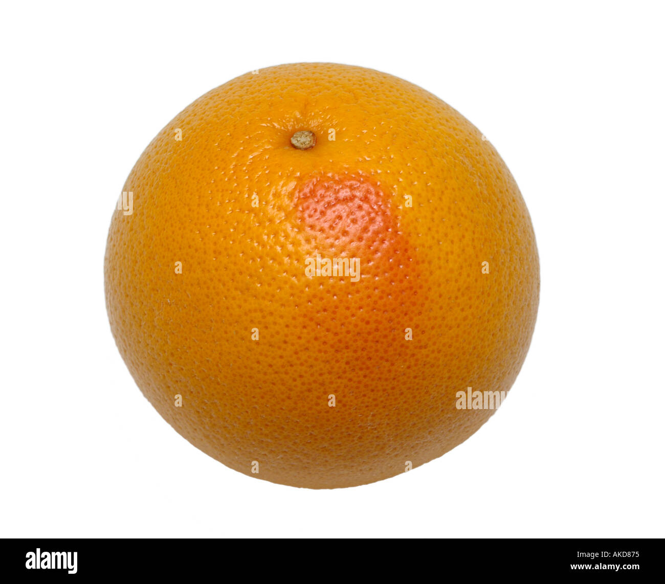 Fruit body structure hi-res stock photography and images - Alamy