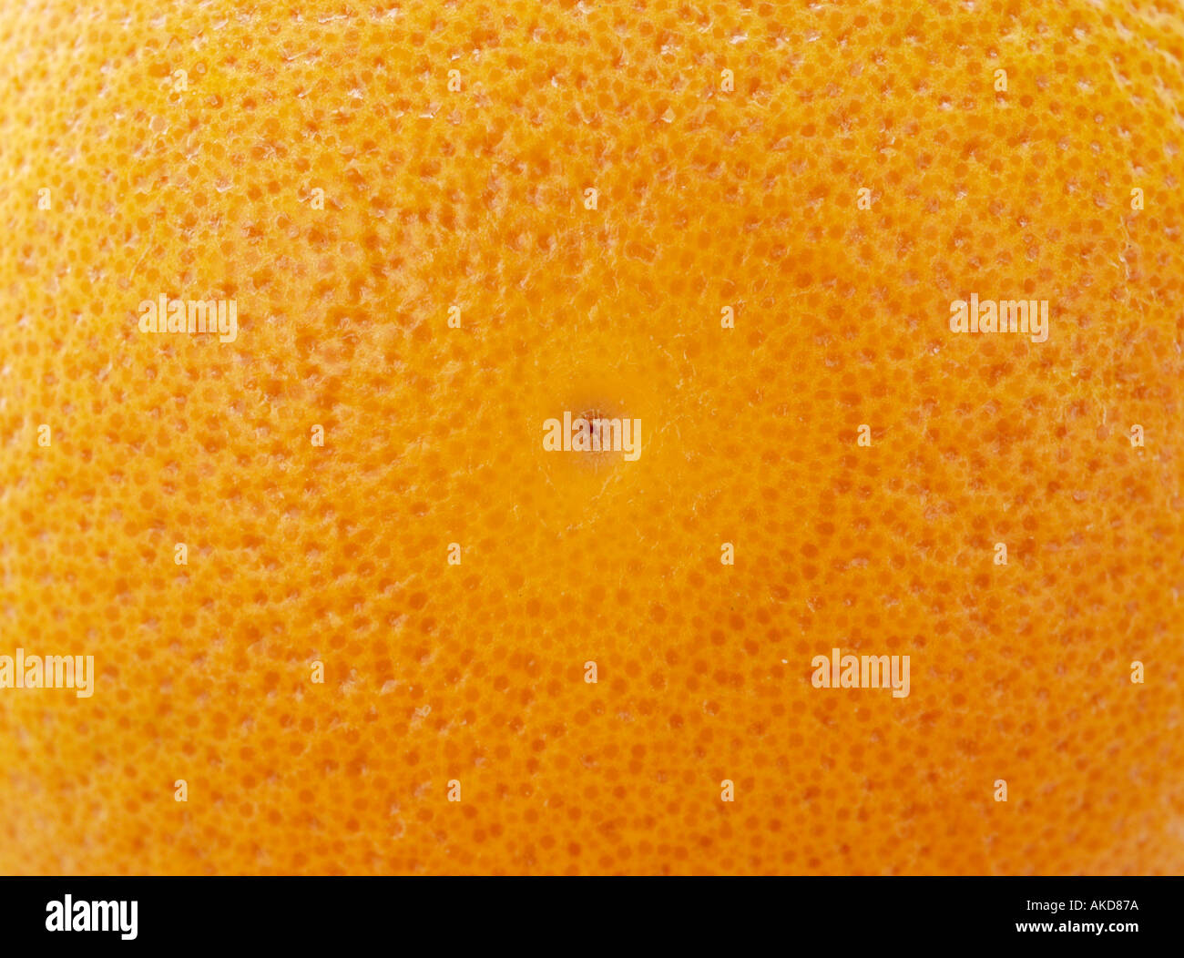 Orange pore hi-res stock photography and images - Alamy