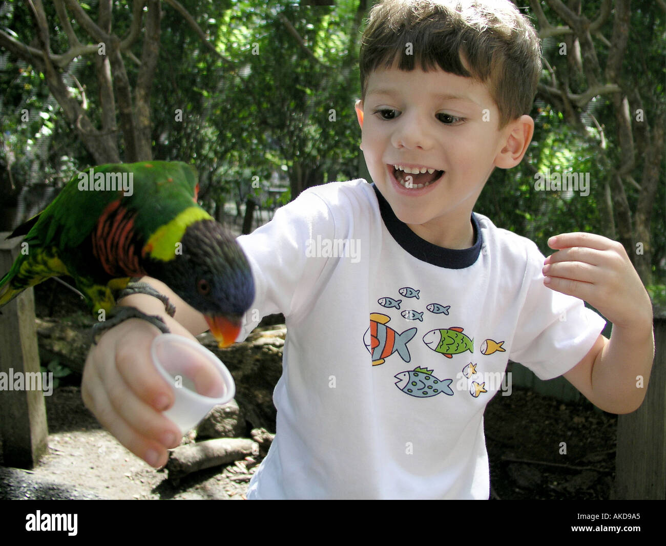 BOY FEEDING EXOTIC BIRD Stock Photo - Alamy