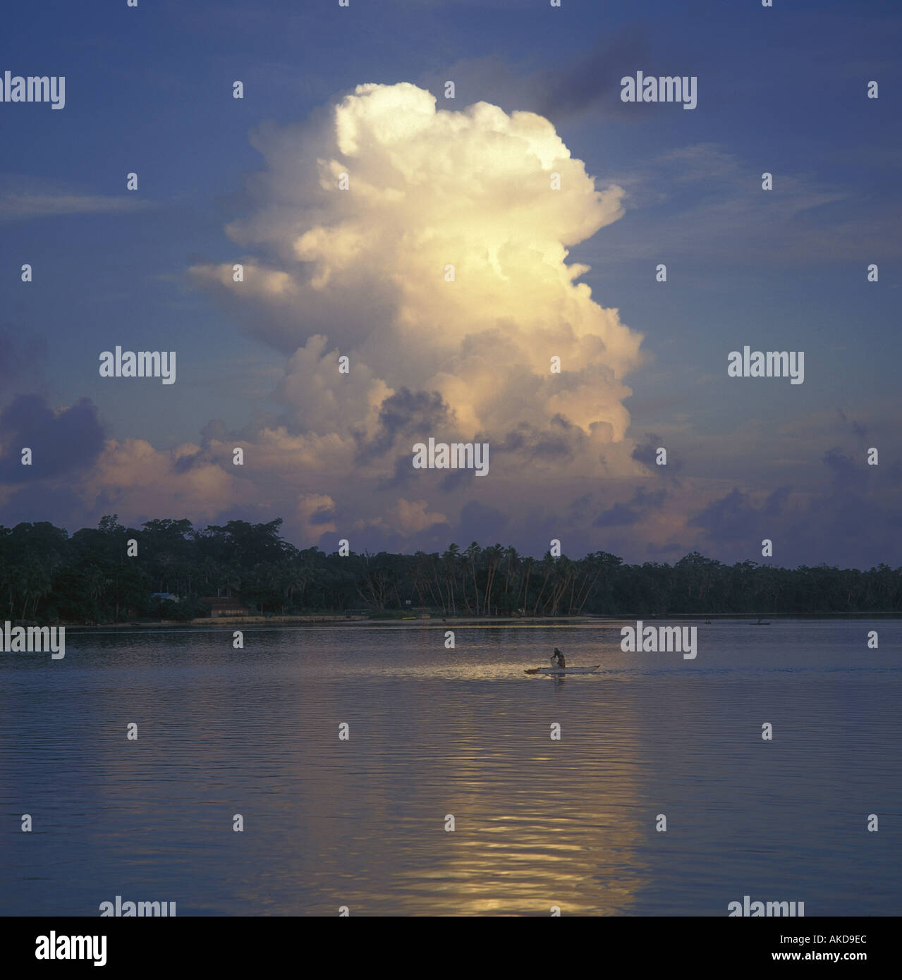Small fish escape fishing net hi-res stock photography and images - Alamy