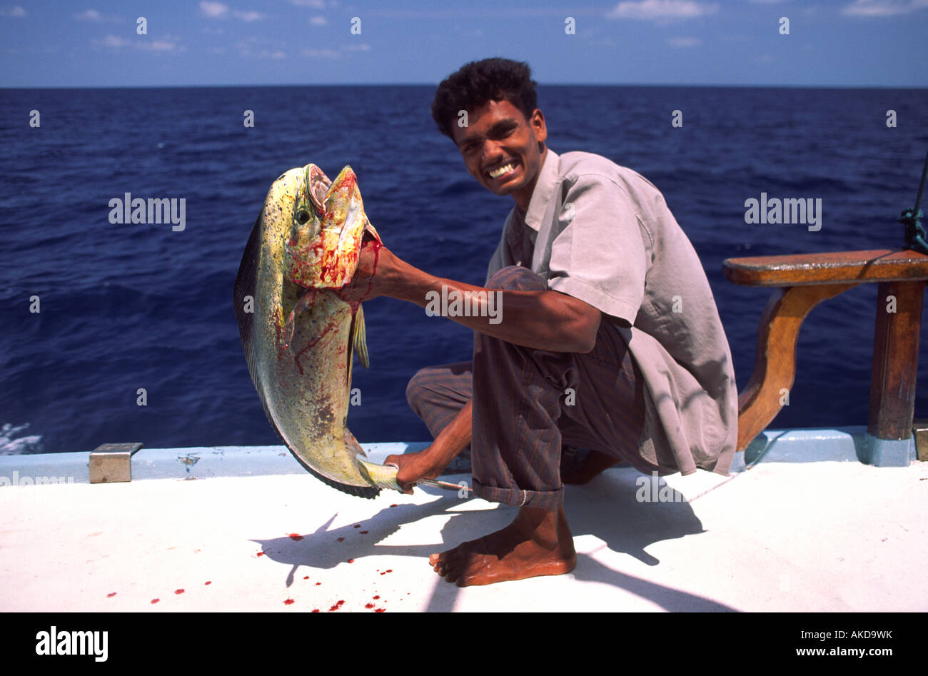 Dhoni traditional maldivian fishing boat hi-res stock photography and ...