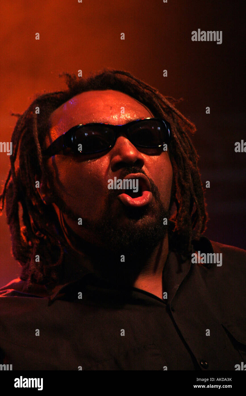 Bulldog bash hi-res stock photography and images - Alamy