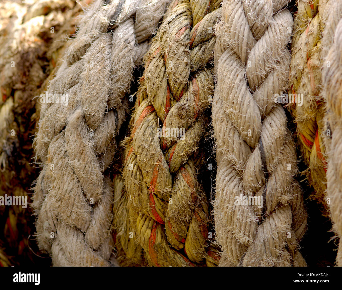 Coiled hemp rope Stock Photo - Alamy