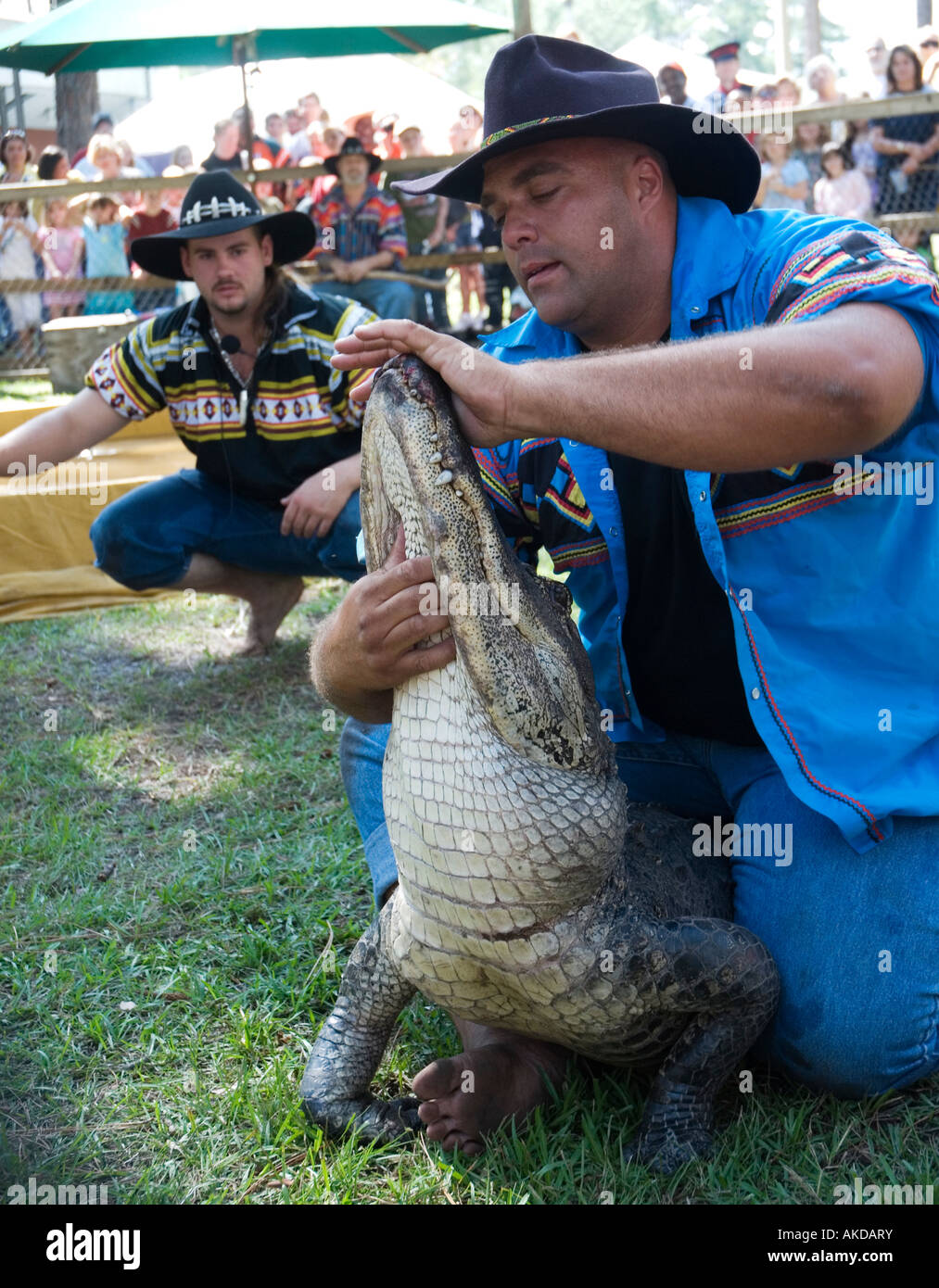 Alligator show hi-res stock photography and images - Alamy