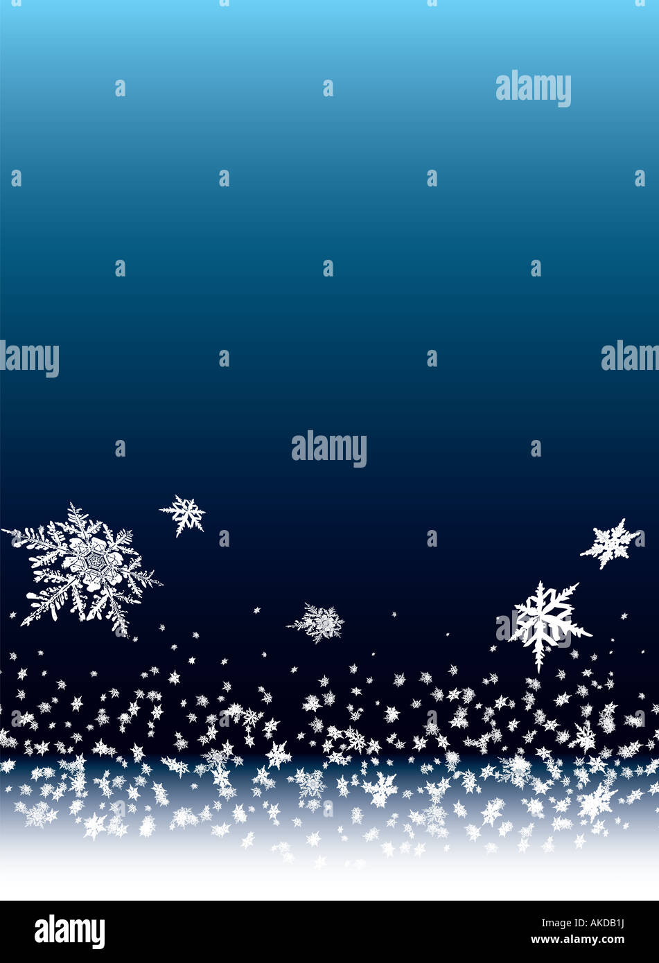 christmas background with snow falling from a heavy blue sky Stock ...