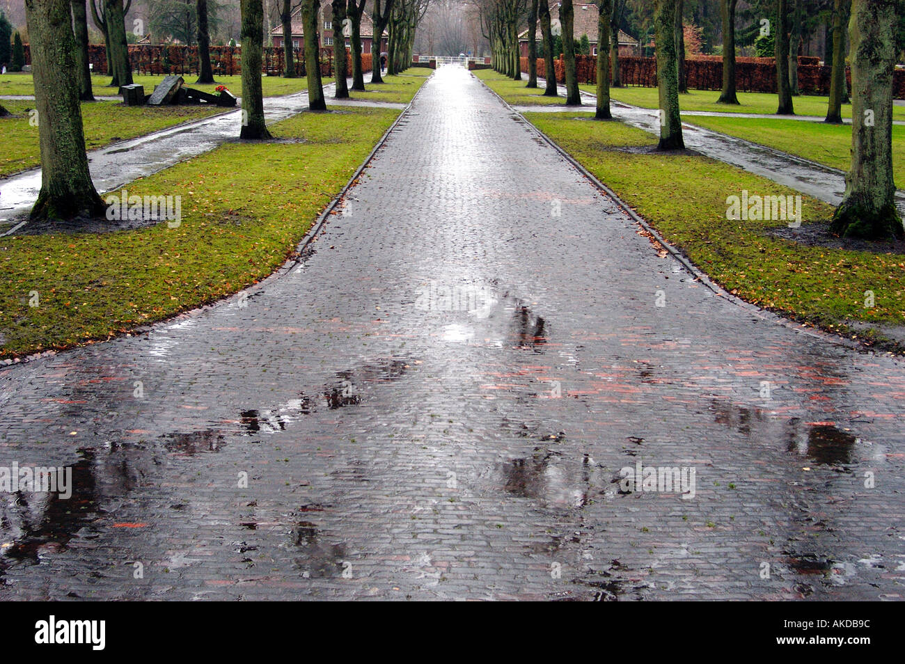 way rain street Stock Photo - Alamy