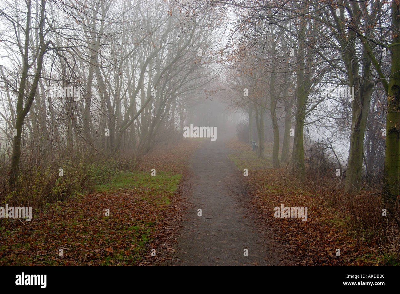 Path nature lonely alone Stock Photo - Alamy