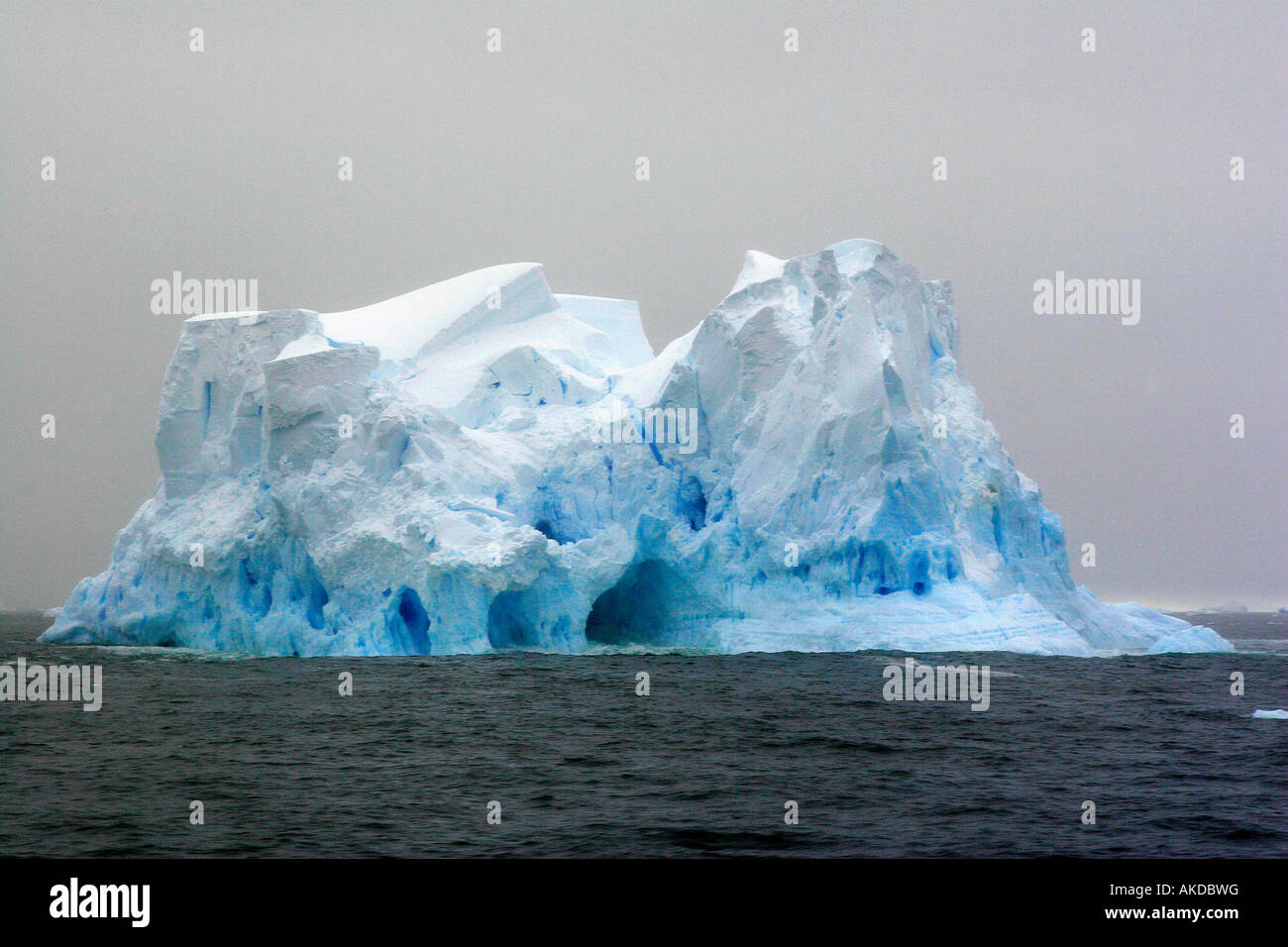 Blue iceberg, Antarctica Stock Photo - Alamy