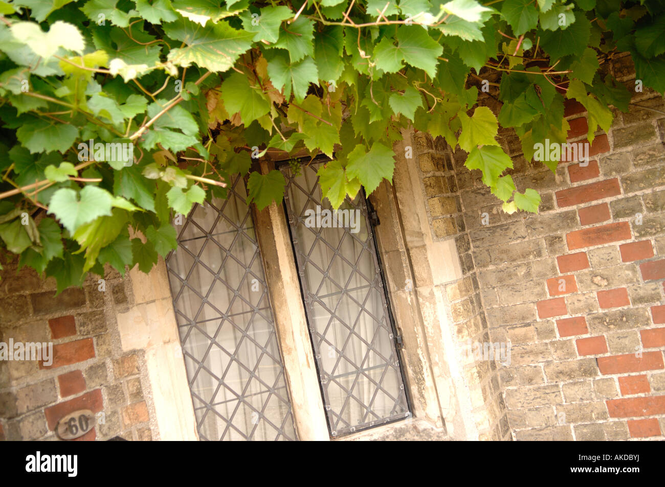 Lattice windows hi-res stock photography and images - Alamy