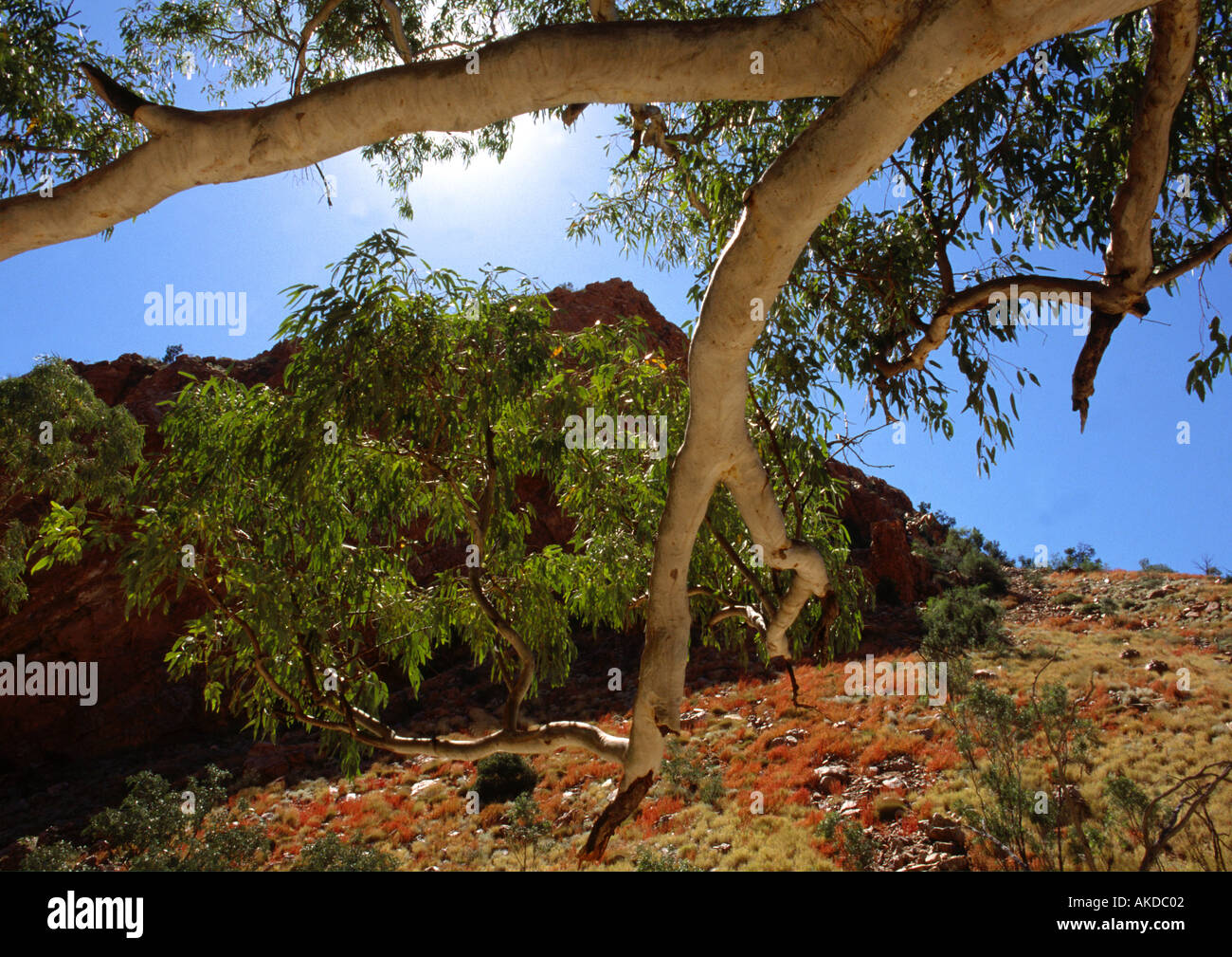 Morning sun rising above Simpsons Gap Western MacDonnell Ranges NT ...