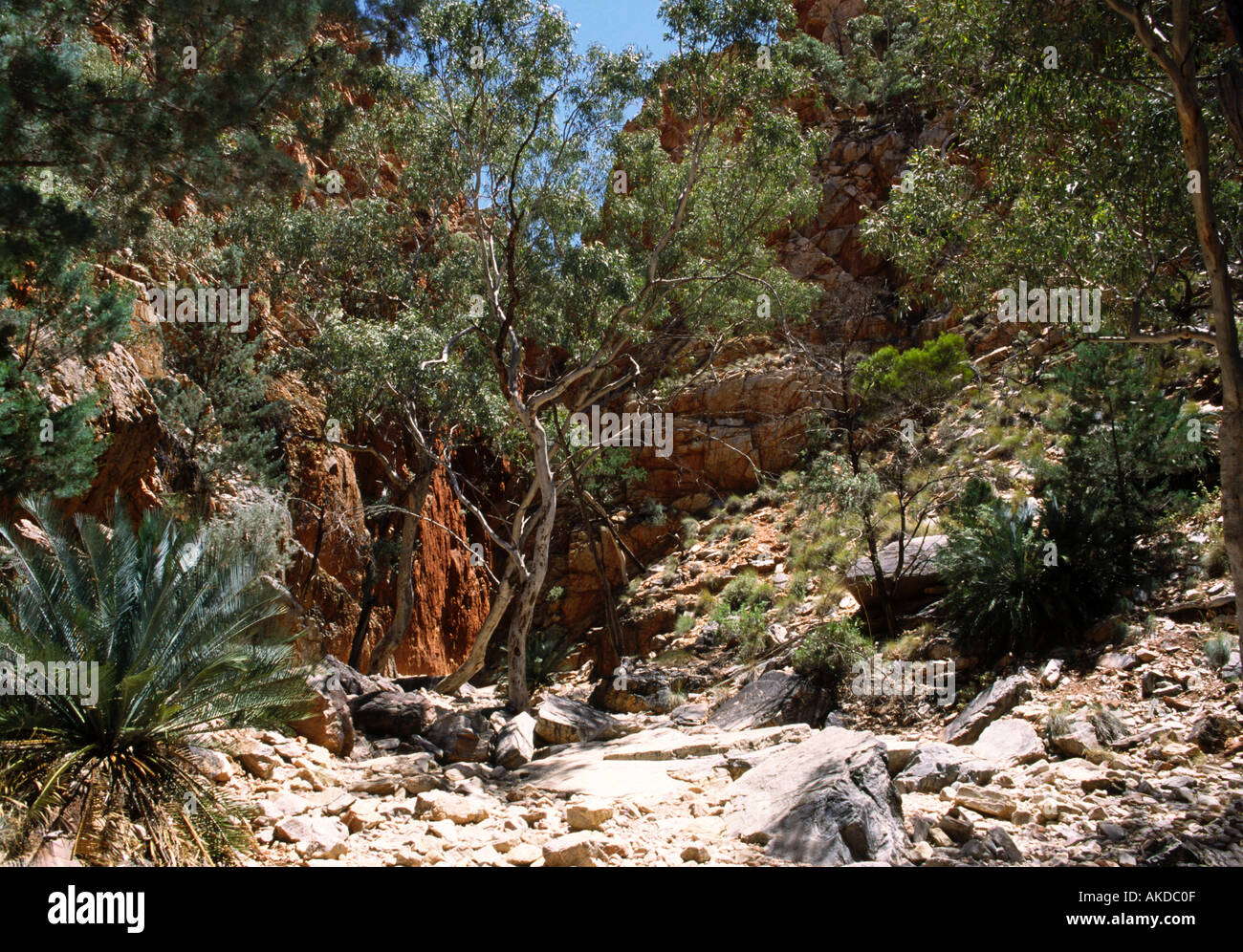 Path leading to Standley Chasm Western MacDonnell Ranges NT Australia ...