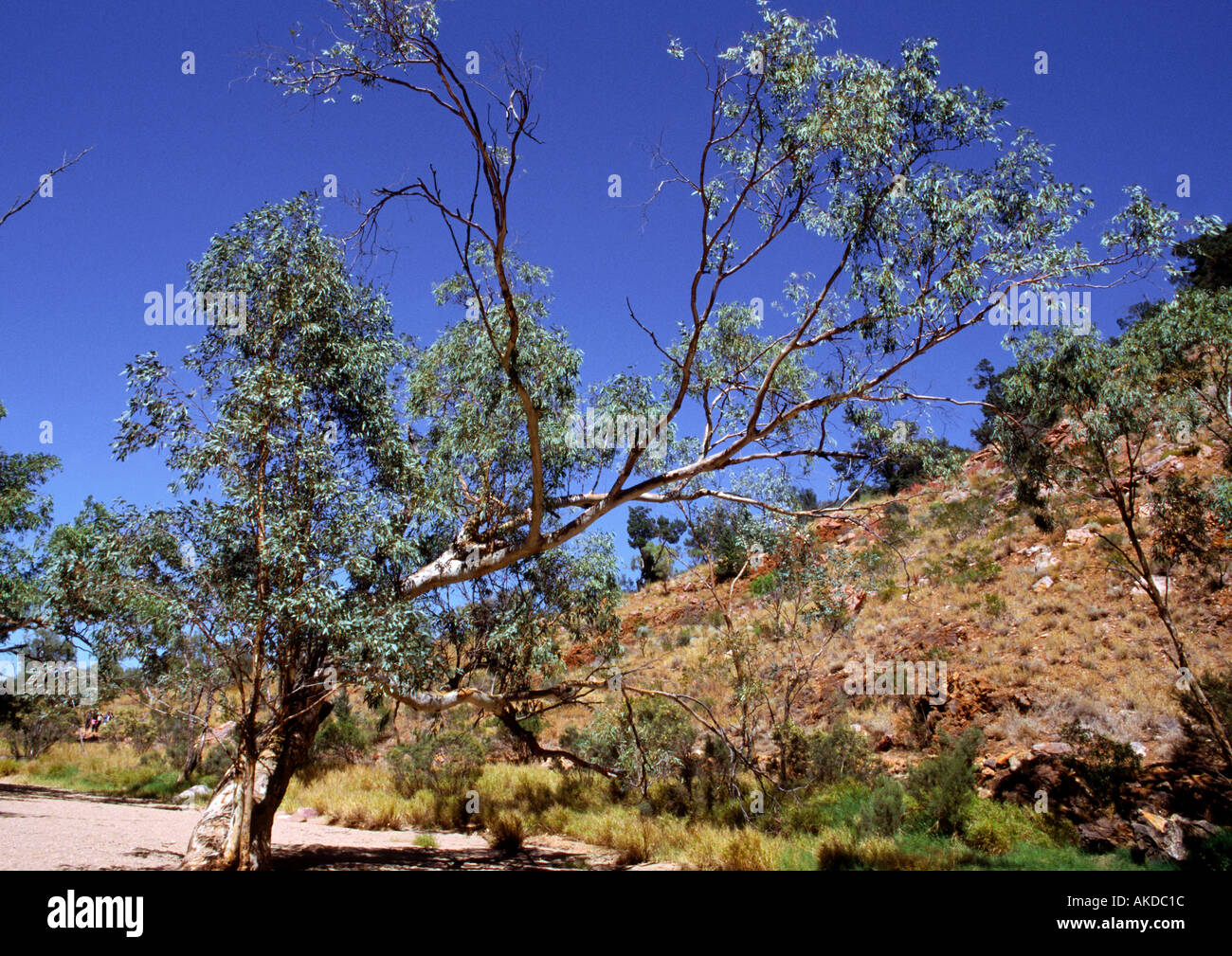 Western Macdonnell Ranges Stock Photos & Western Macdonnell Ranges ...