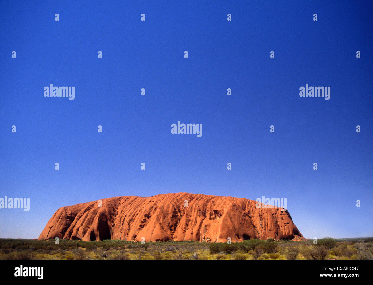 Uluru Ayers Rock at mid day with bright blue sky Stock Photo - Alamy