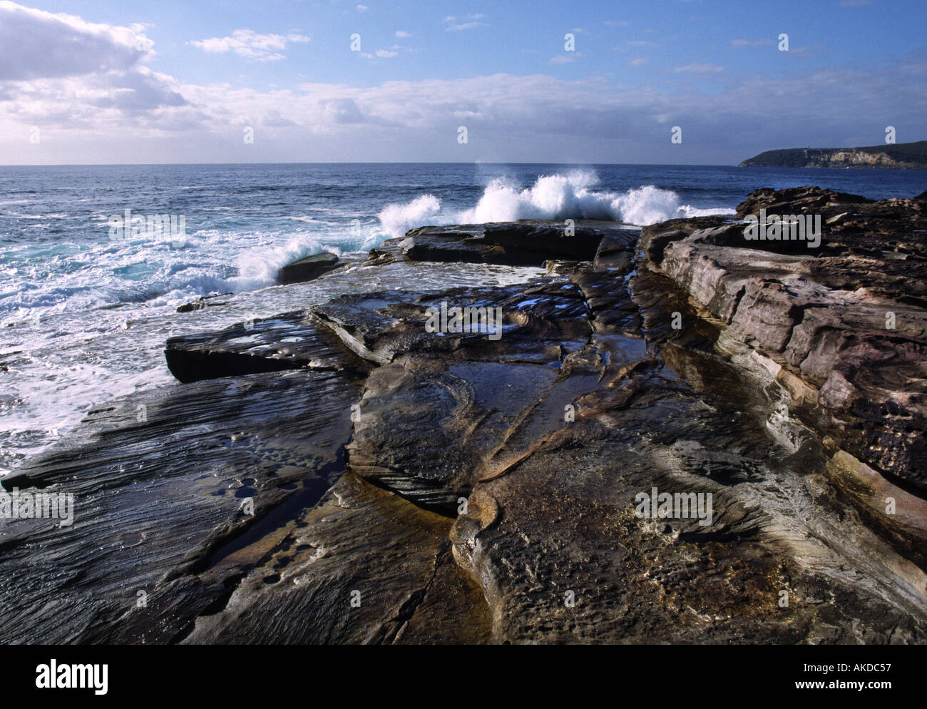 Wave hitting rocks at Freshwater Bay Sydney NSW Australia Stock Photo ...