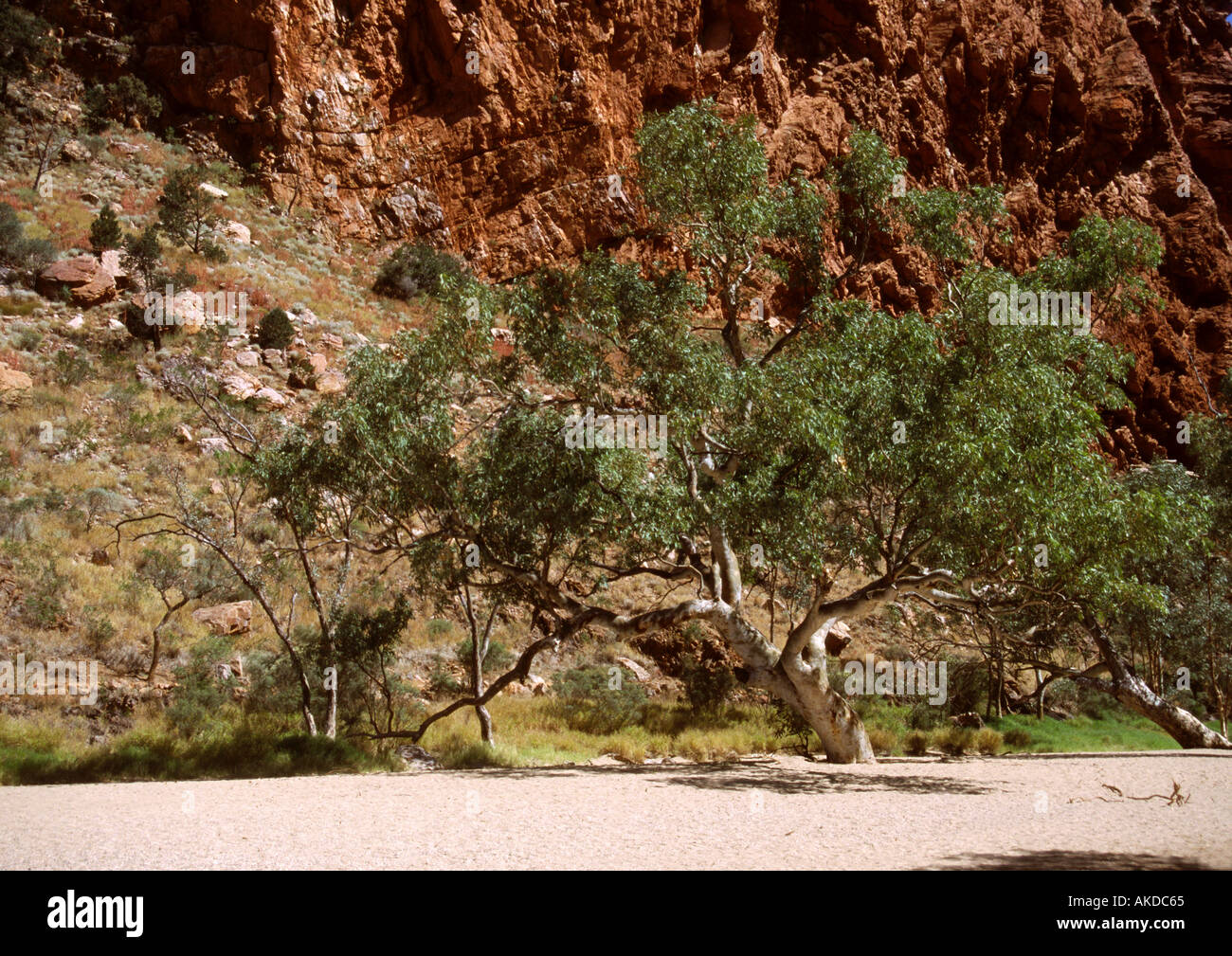 Rocks and trees forming Simpsons Gap Western MacDonnell Ranges NT ...
