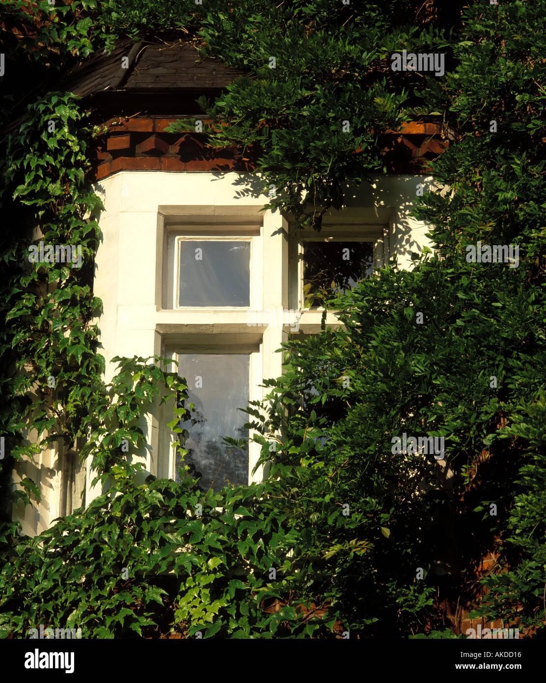 Hidden window in the suburb area of London Stock Photo - Alamy