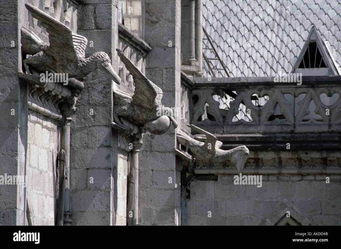 Gargoyles of Galapagos birds on La Basilica Quito Ecuador Stock Photo ...