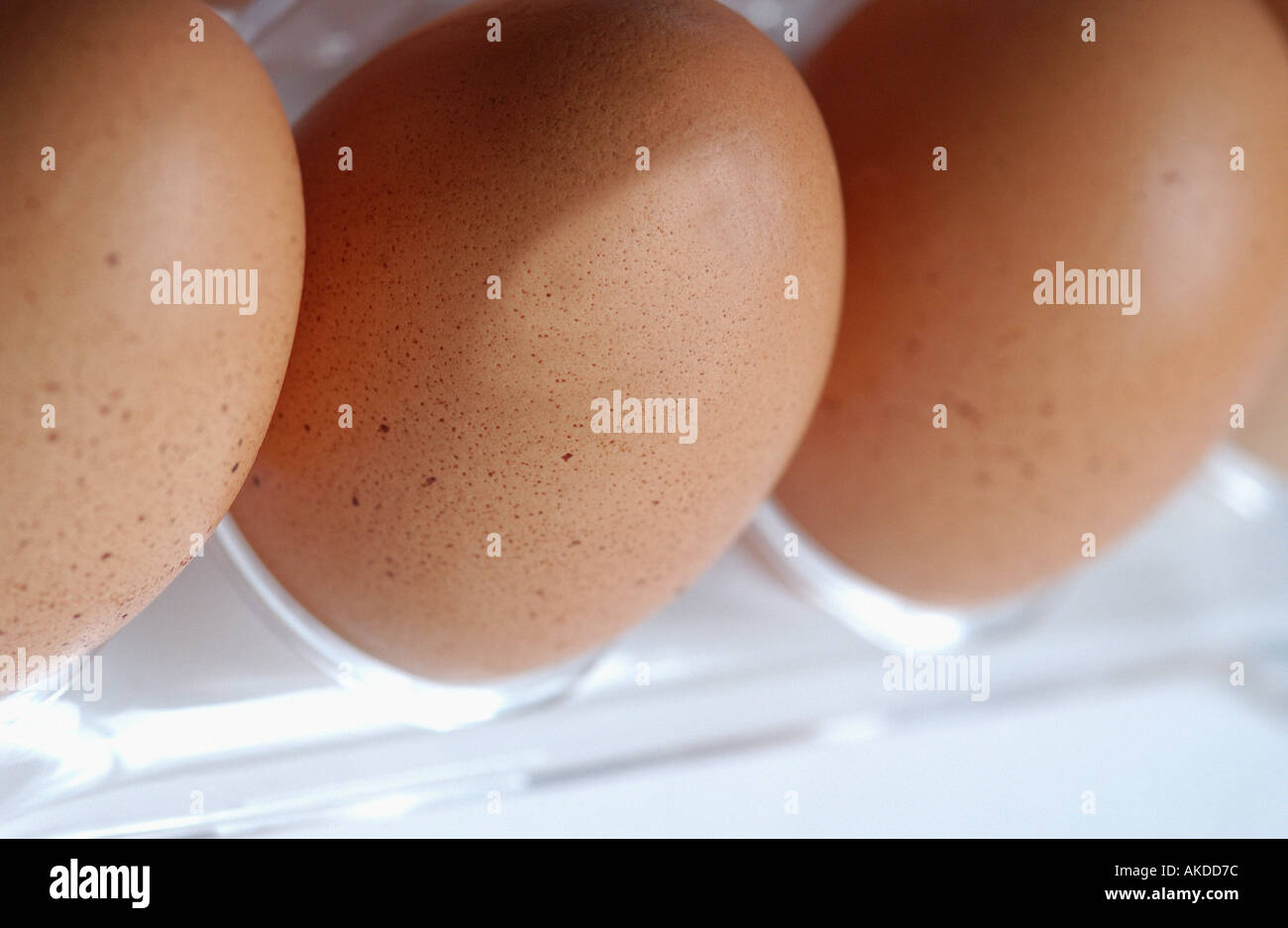 Fresh chickens eggs in tray hi-res stock photography and images - Alamy