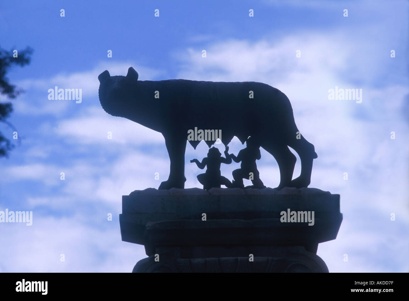 silhouette of she wolf with th Romulus a Remus babies symbol of Rome ...